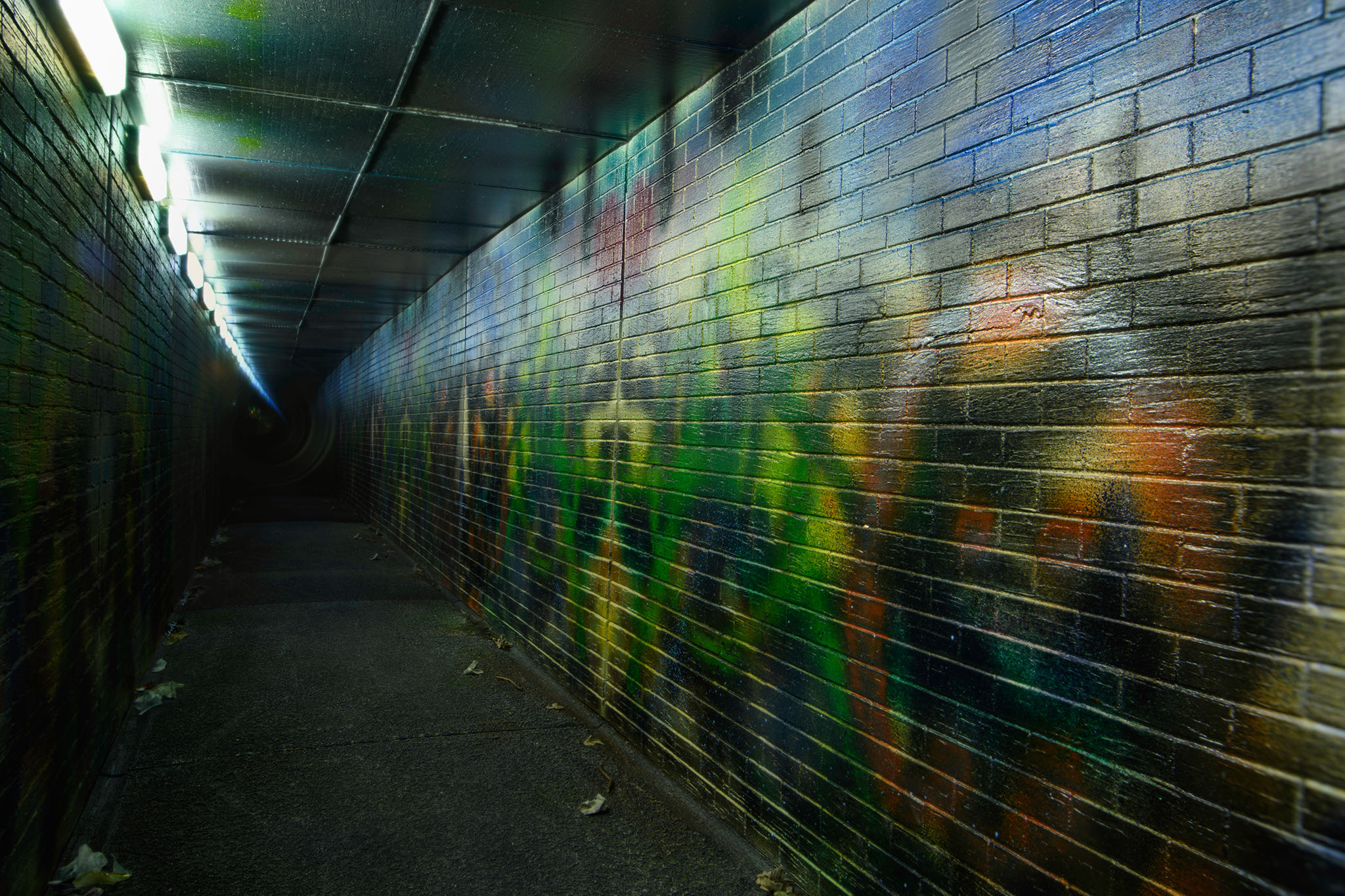 Gallery 9 | The world is full of holes